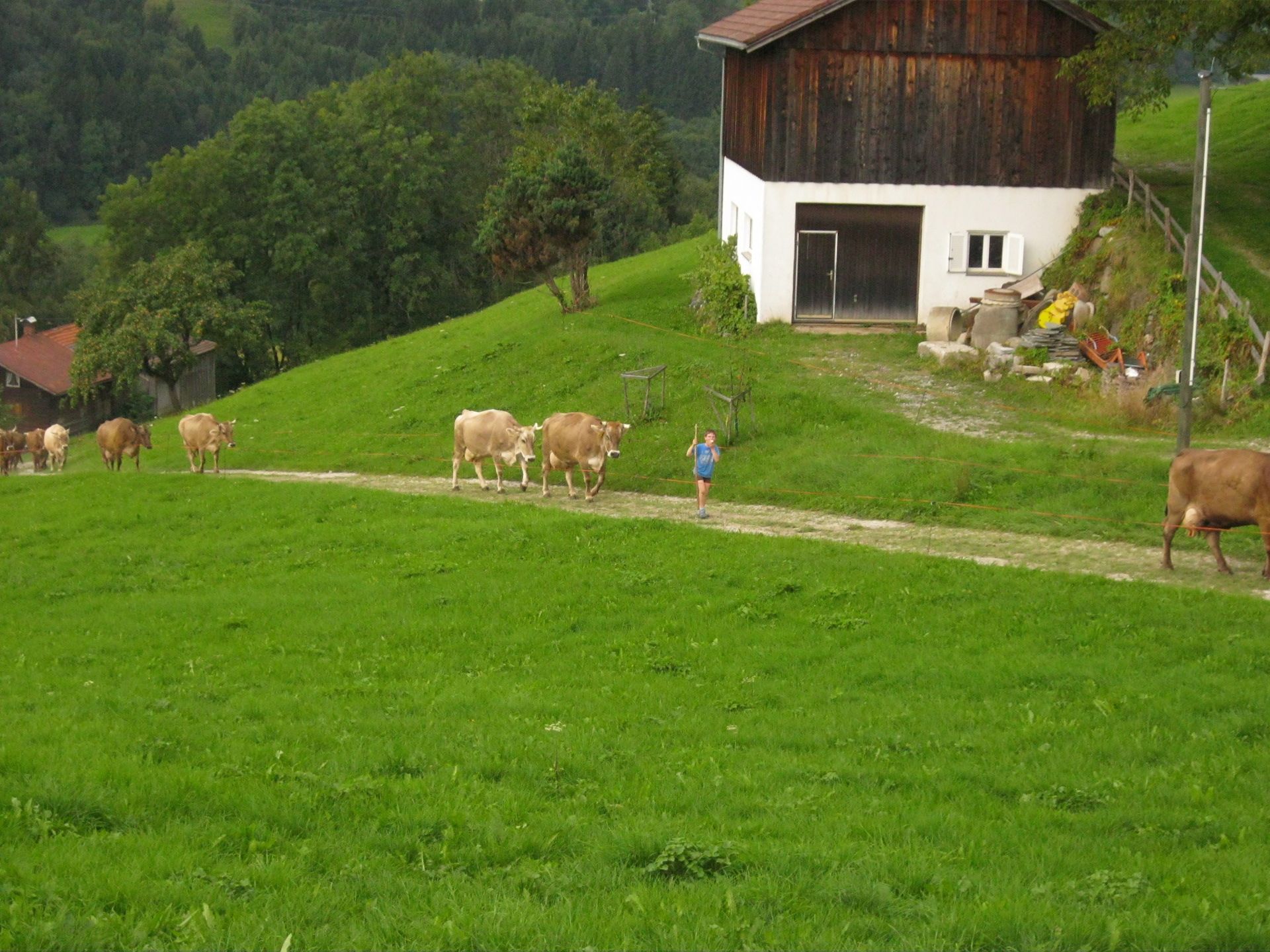 Berghof Martin Ihre Ferienwohnungen in Sonthofen Allgäu